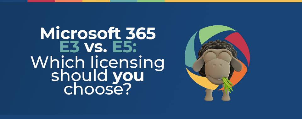 Microsoft 365 E3 vs. E5: which licensing should you choose?